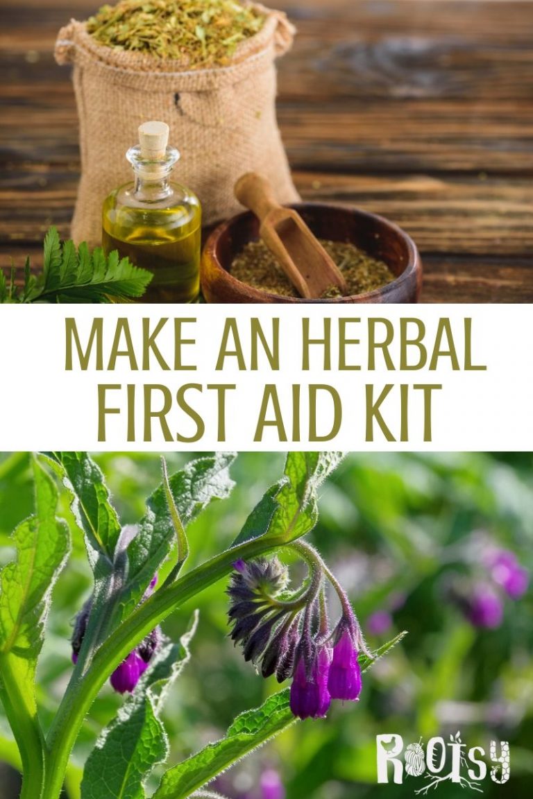 DIY Herbal First Aid Kit: Natural Remedies That Work - Rootsy Network