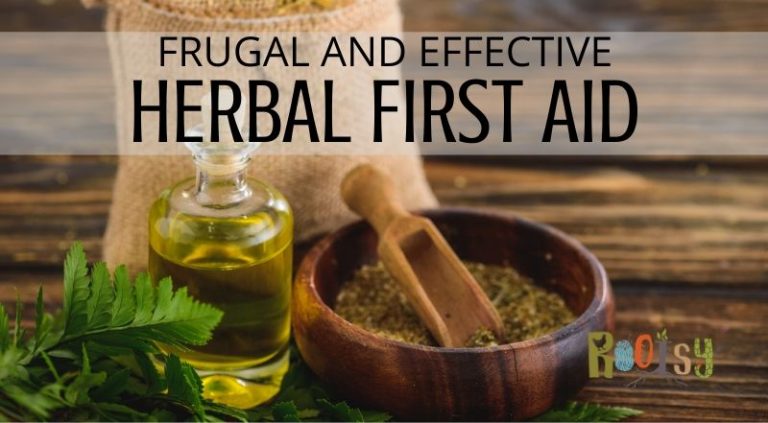 DIY Herbal First Aid Kit: Natural Remedies That Work - Rootsy Network
