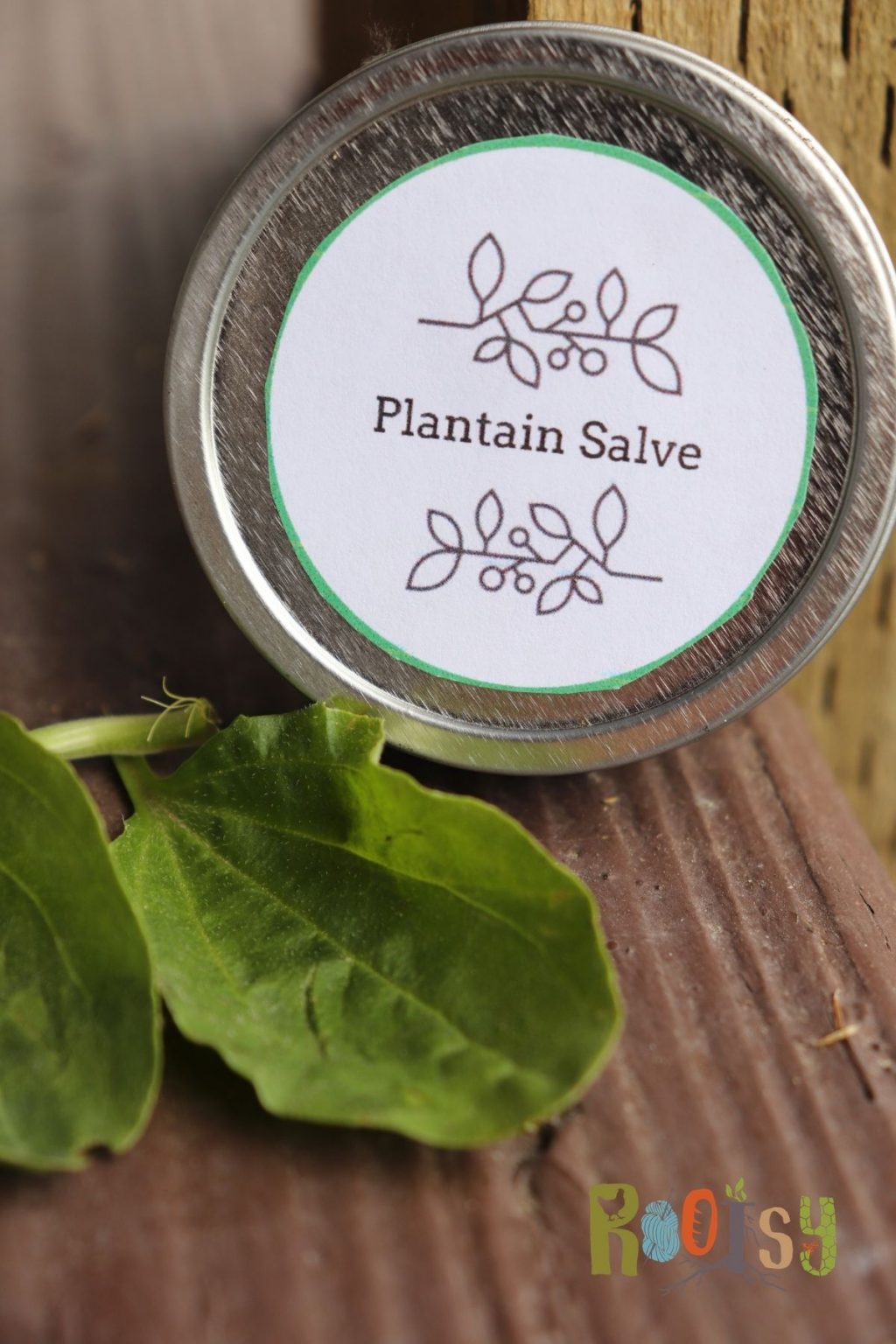 Homemade Plantain Salve Recipe — Easy Natural Remedy for Bug Bites ...
