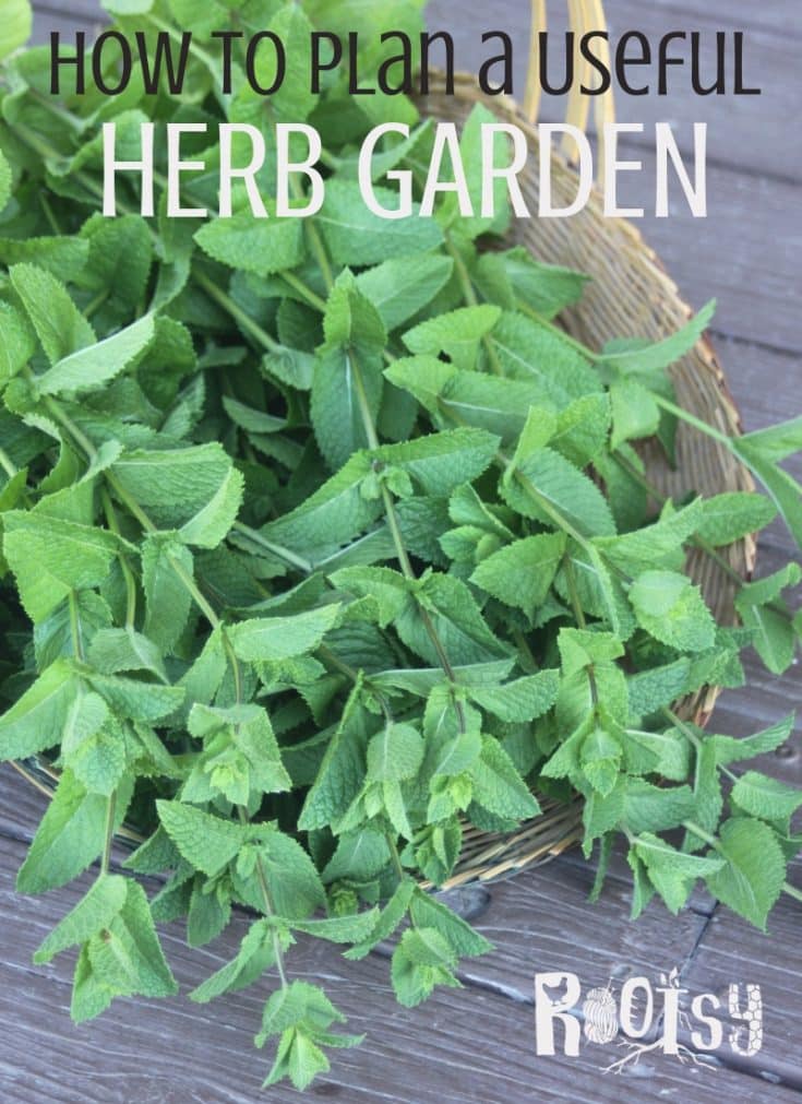 How to Plan a Useful Herb Garden - Rootsy Network