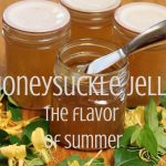 Make Flower Jellies to Preserve Blooms as Food - Rootsy Network