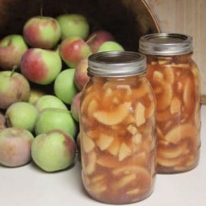 12 Easy and Unique Apple Canning Recipes - Rootsy Network