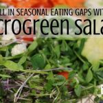 13 Microgreen Recipes for Breakfast, Lunch and Dinner - Rootsy Network