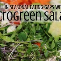 13 Microgreen Recipes for Breakfast, Lunch and Dinner - Rootsy Network