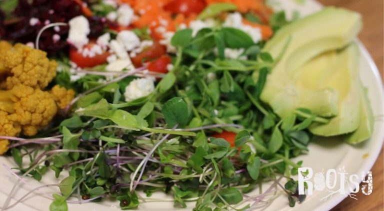 Simple Microgreen Salad Recipe for Every Season - Rootsy Network