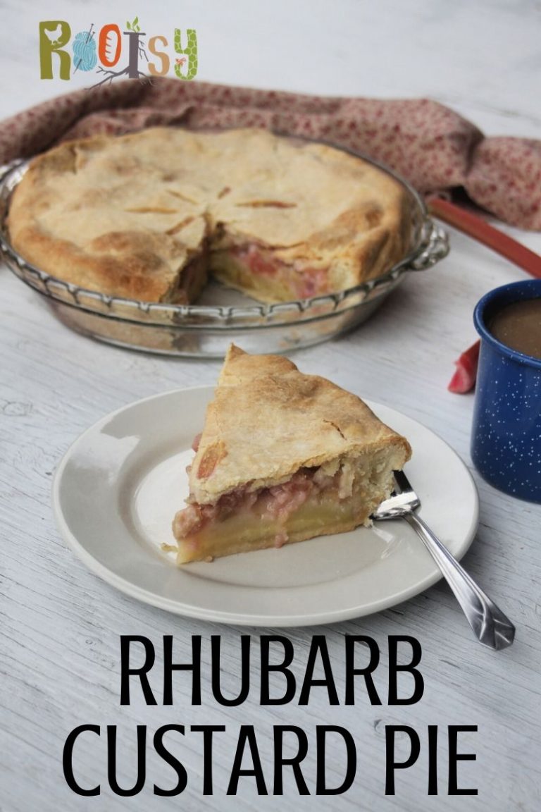 Easy Rhubarb Custard Pie (an Old Fashioned Recipe) - Rootsy Network