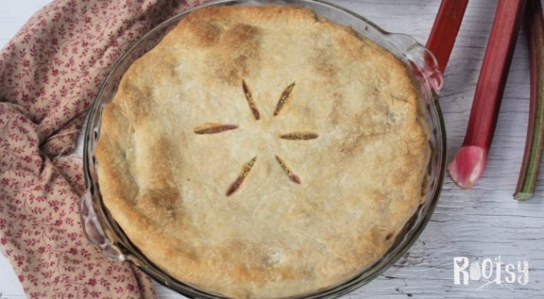 Easy Rhubarb Custard Pie (an Old Fashioned Recipe) - Rootsy Network