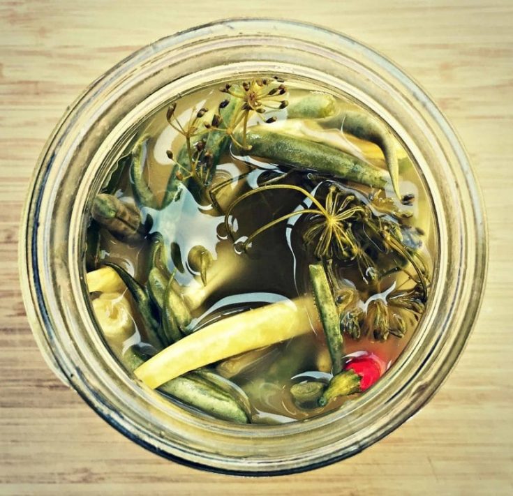 Fermented Vegetables for Healthy Preserves - Rootsy Network