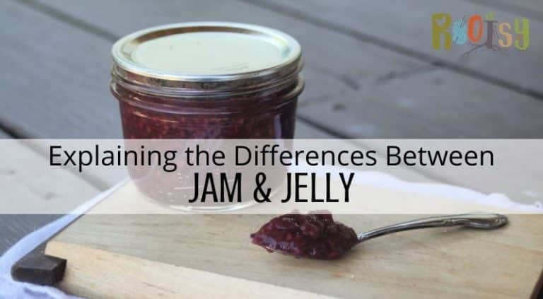 Difference Between Jam and Preserves - Rootsy Network