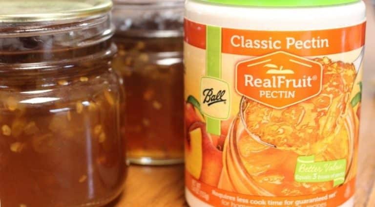What is Pectin? And How to Use it for Homemade Jam and Jelly - Rootsy ...