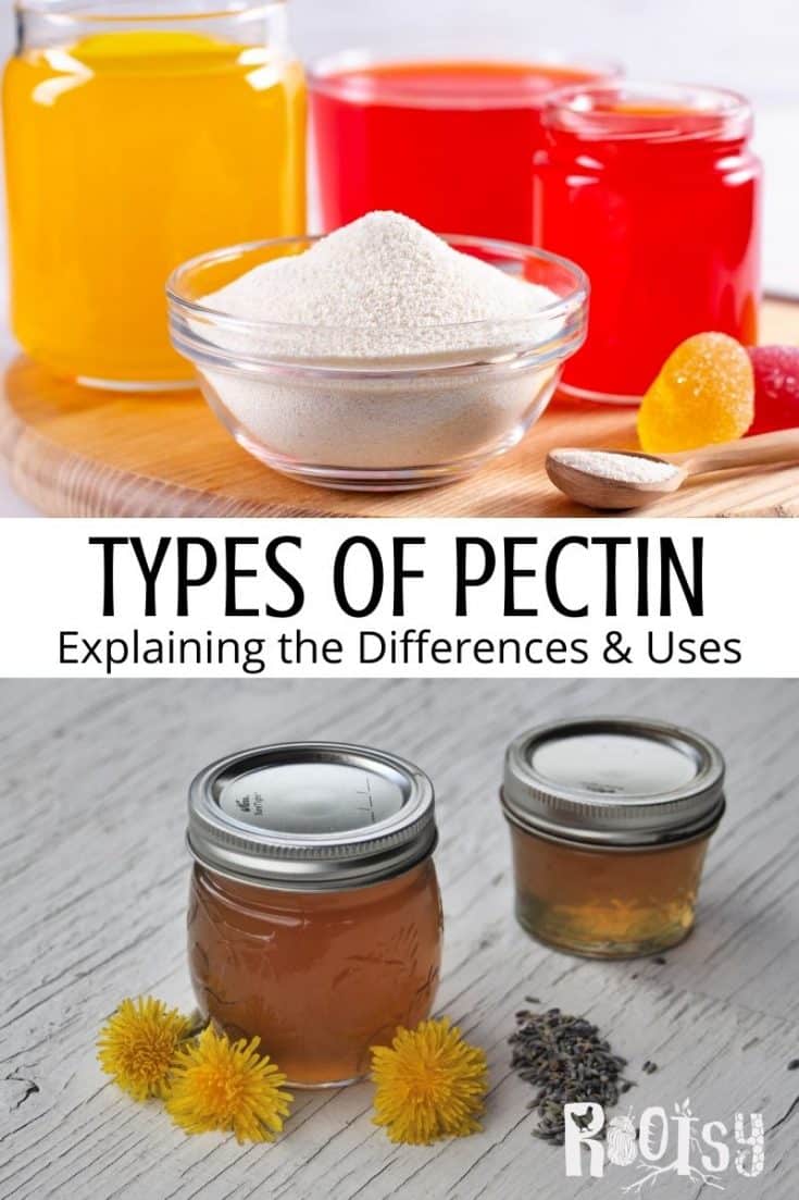 What is Pectin? And How to Use it for Homemade Jam and Jelly - Rootsy ...