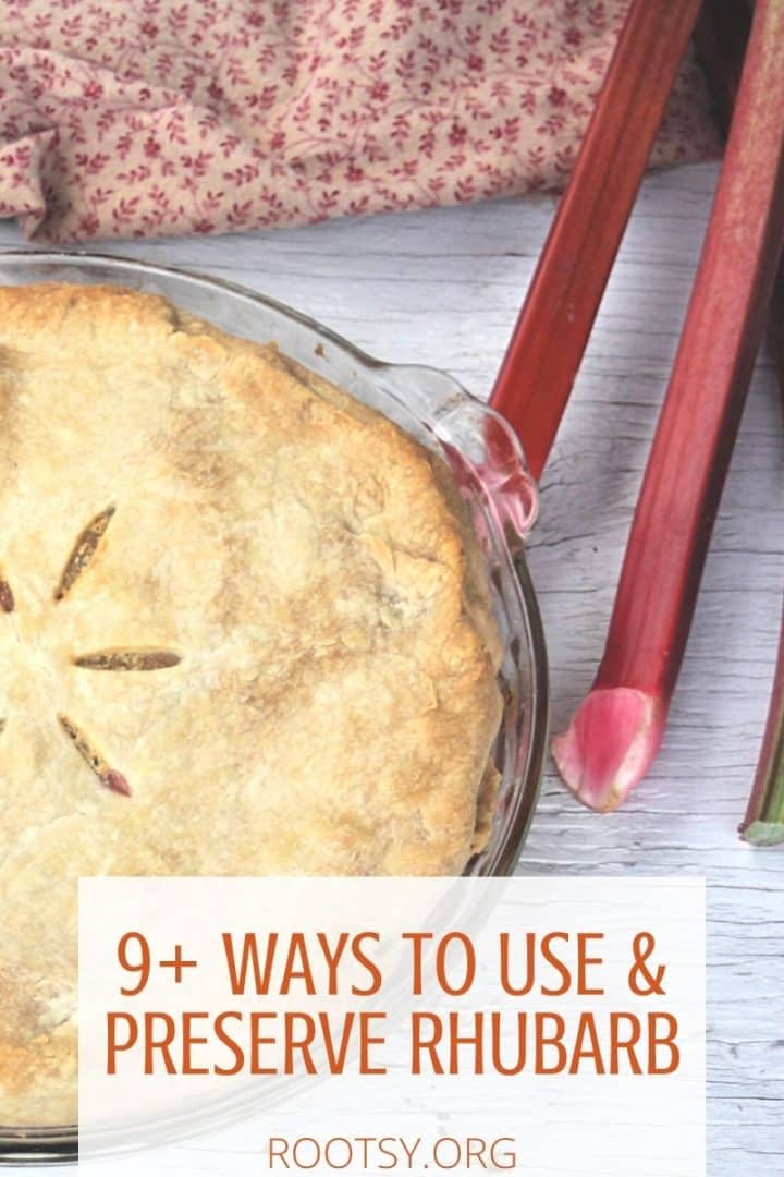 9+ Ways to Preserve and Use Rhubarb - Rootsy Network
