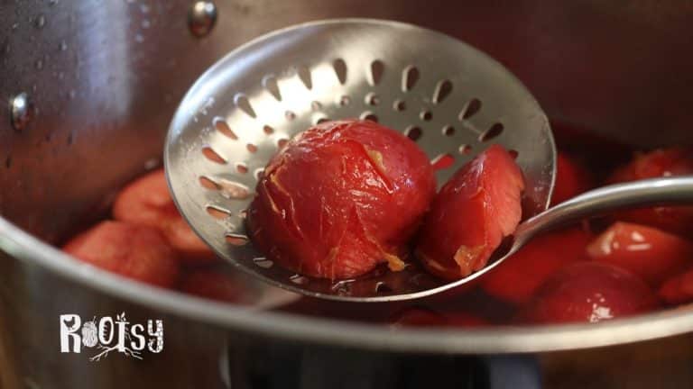 Canning Plums - Rootsy Network