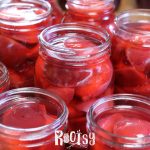 Canning Plums - Rootsy Network