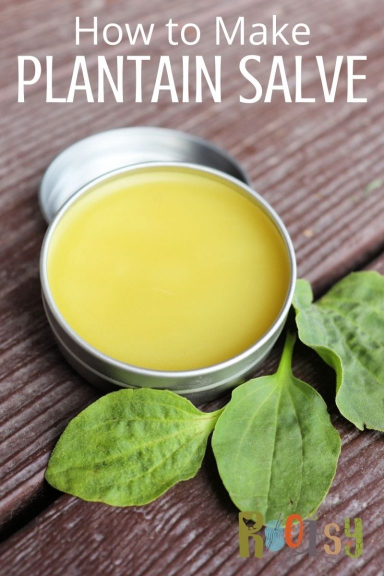 Homemade Plantain Salve Recipe — Easy Natural Remedy for Bug Bites ...