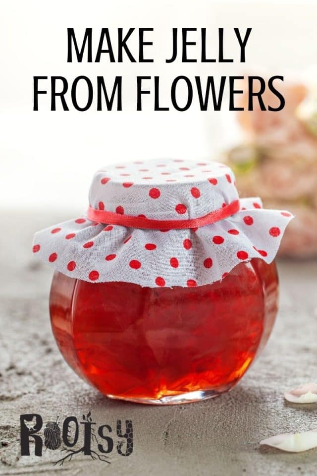 Make Flower Jellies to Preserve Blooms as Food - Rootsy Network