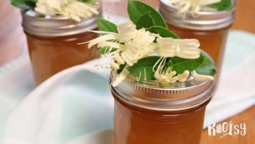 Make Flower Jellies to Preserve Blooms as Food - Rootsy Network
