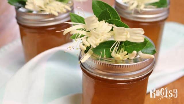 Make Flower Jellies to Preserve Blooms as Food - Rootsy Network