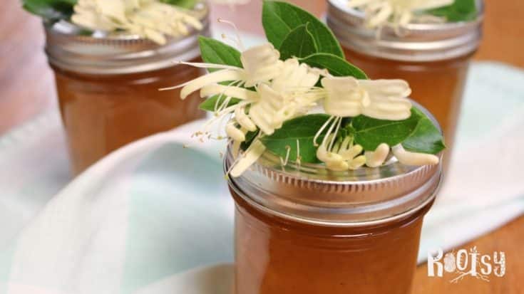 Make Flower Jellies to Preserve Blooms as Food - Rootsy Network