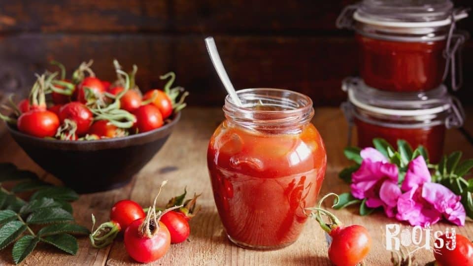 Make Flower Jellies to Preserve Blooms as Food - Rootsy Network