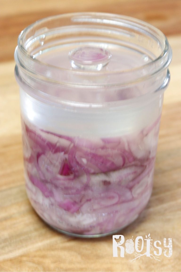 Fermented Red Onions — A Simple Probiotic Condiment - Rootsy Network