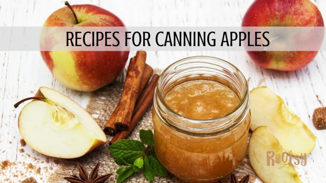 12 Easy and Unique Apple Canning Recipes - Rootsy Network