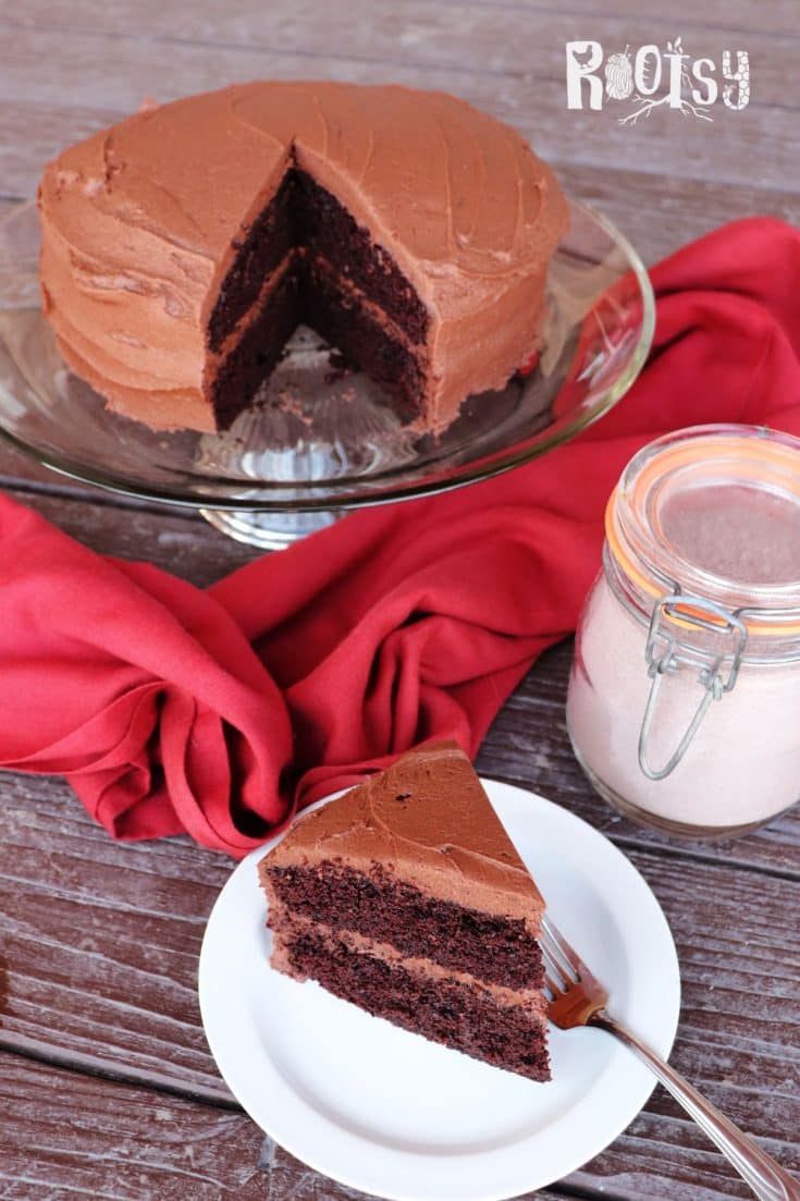 How to Make Chocolate Cake Mix - Rootsy Network