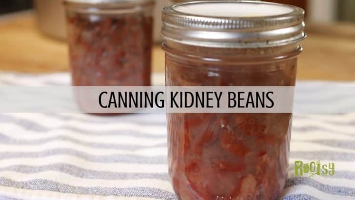 Canning Kidney Beans - Rootsy Network