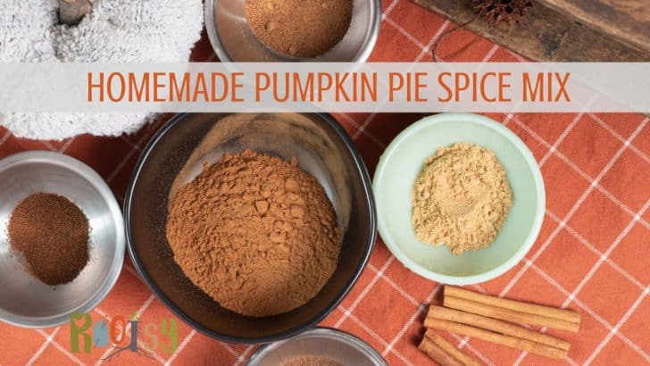Easy Homemade Pumpkin Pie Spice Mix (Recipe) - Rootsy Network