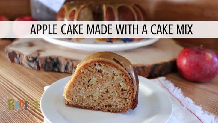 Easy Apple Cake Recipe Made with a Mix - Rootsy Network