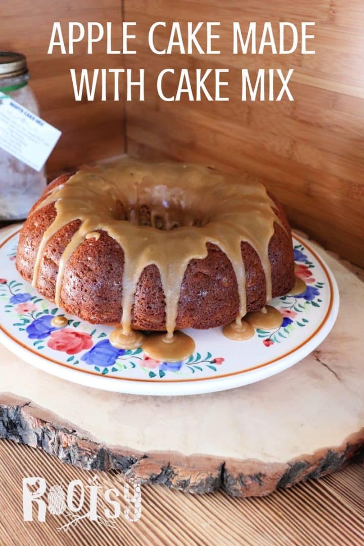 Easy Apple Cake Recipe Made with a Mix - Rootsy Network