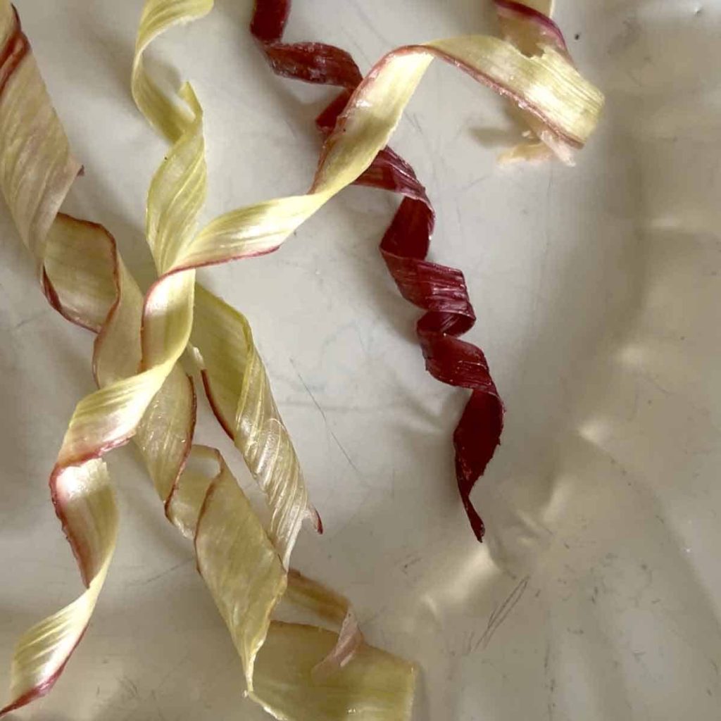 100+ Best Rhubarb Recipes to Enjoy Now and Later - Rootsy Network