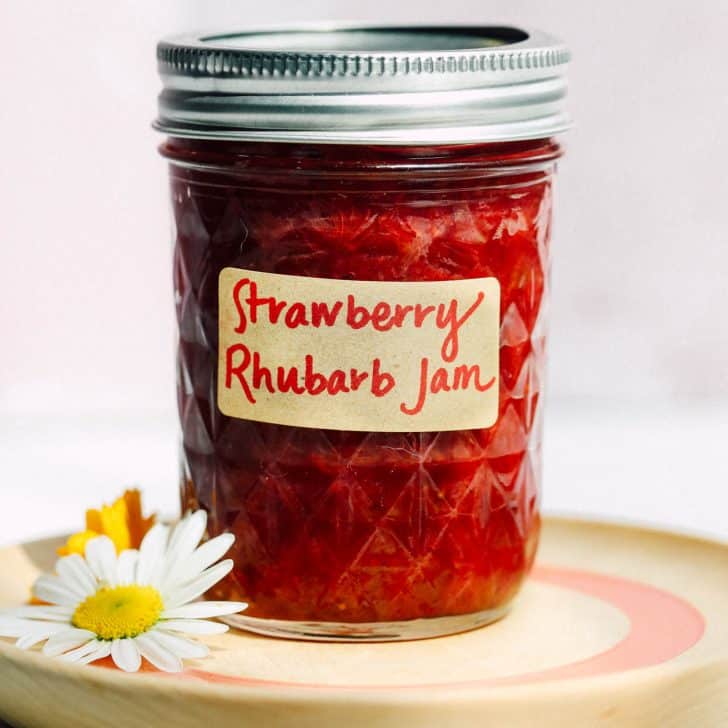 100+ Best Rhubarb Recipes to Enjoy Now and Later - Rootsy Network