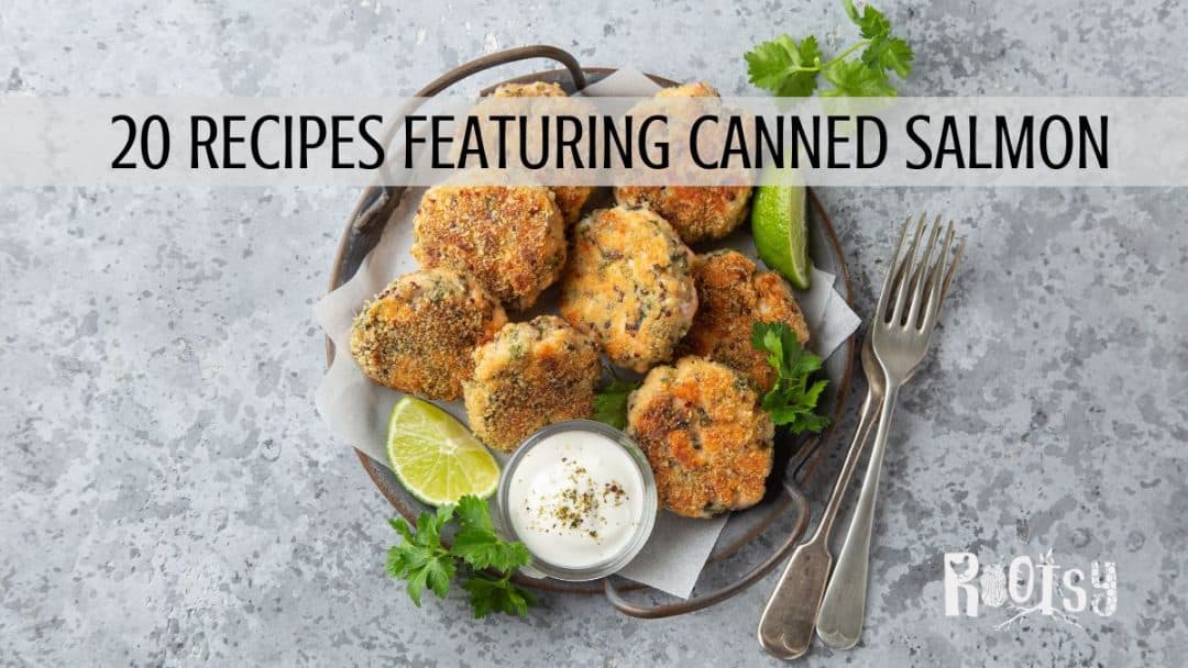 Easy & Delicious Canned Salmon Recipes - Rootsy Network