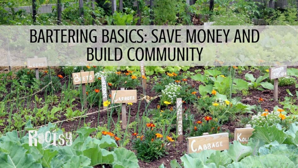 Bartering Basics: How to Save Money and Build Community - Rootsy Network